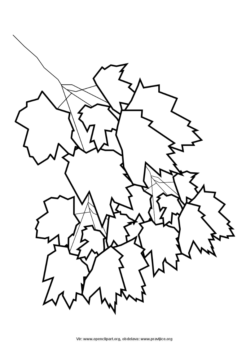 Jesenske pobarvanke – Pobarvanke